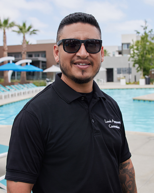 Lewis Group of Companies